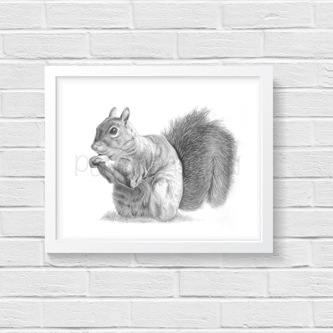 Squirrel Drawing Digital Art Print Downloadable - Hand Drawn Animal ...