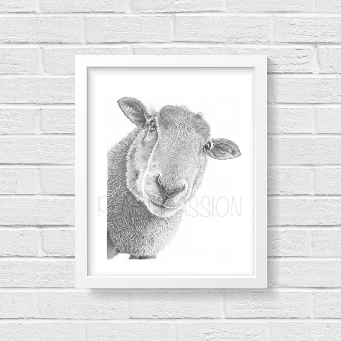 Sheep Art Print Hand Drawn Animal Pencil Drawing A4 / A5 - Etsy