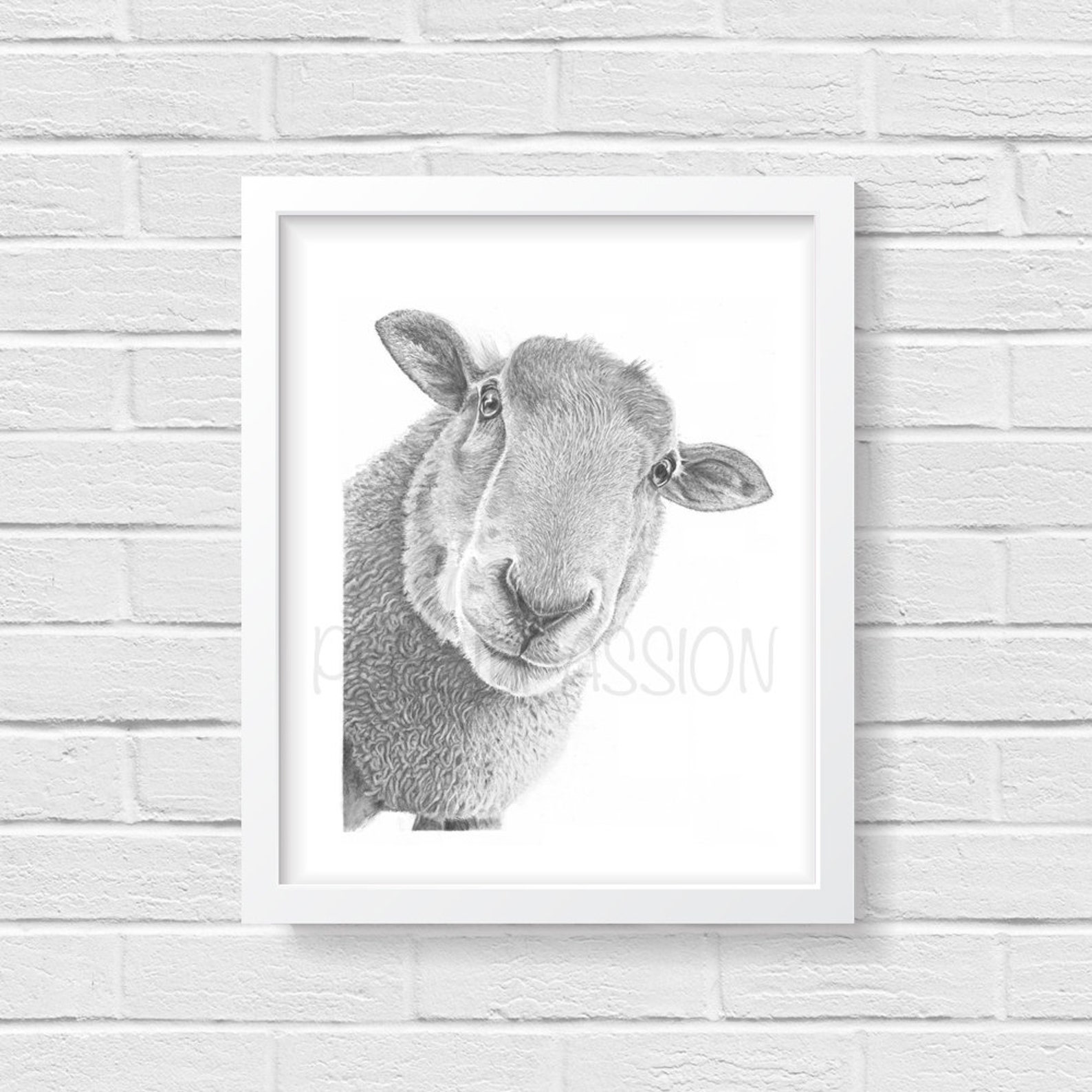 Sheep Art Print Hand Drawn Animal Pencil Drawing A4 / A5 - Etsy