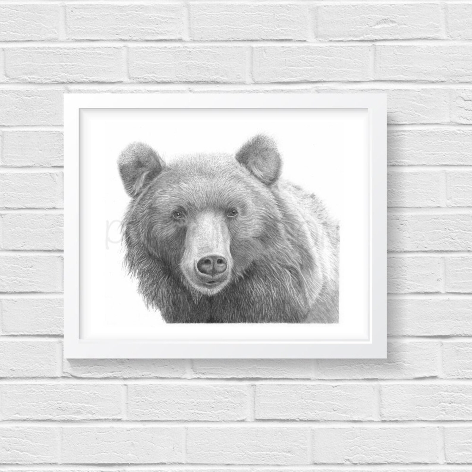 Bear Art Print Hand Drawn Animal Pencil Drawing A4 A5 Sizes - Etsy