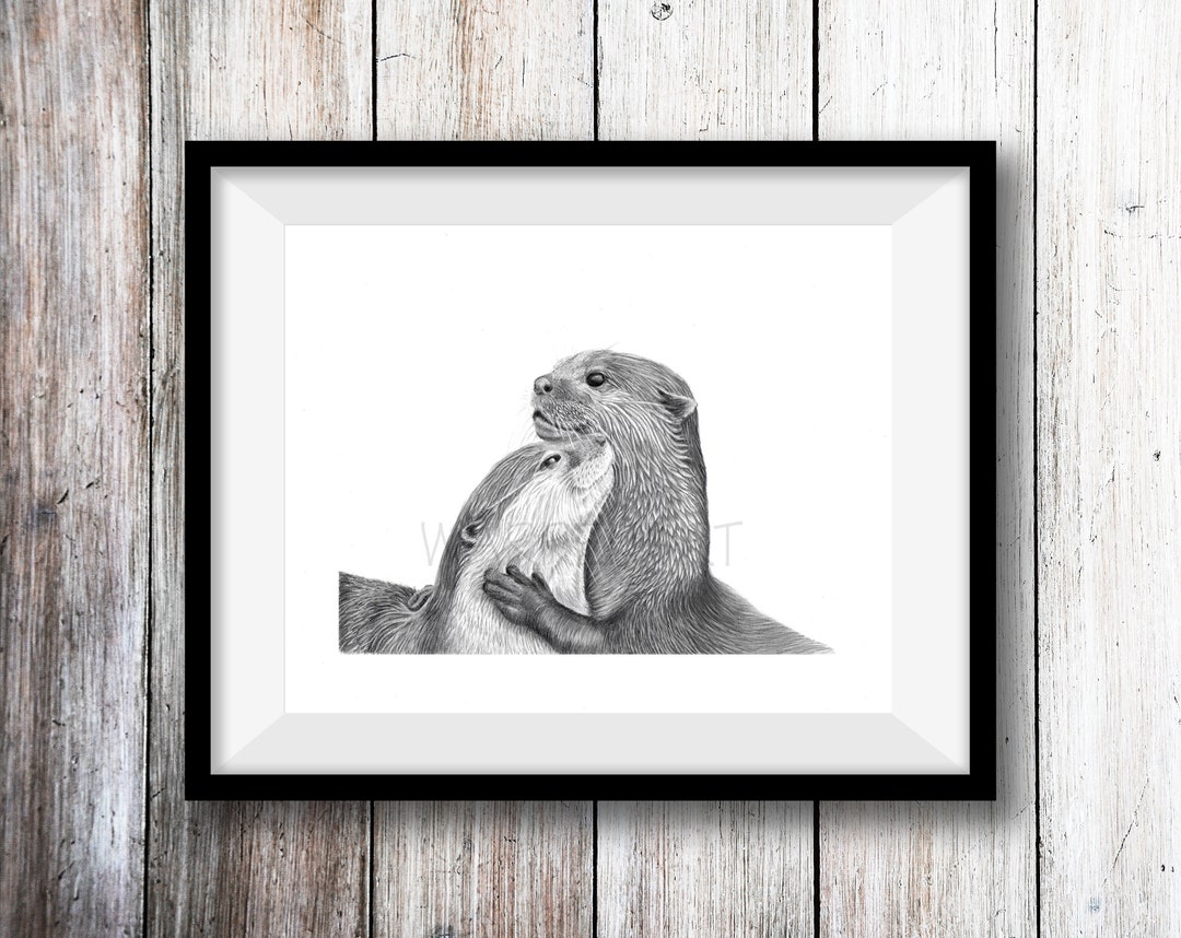 Otter Art Print - Hand Drawn Animal Pencil Drawing A4 / A5 Giclee (UK ...