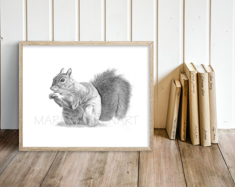 Grey Squirrel Art Print Hand Drawn Animal Pencil Drawing A4 - Etsy