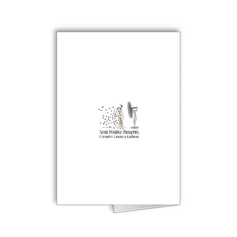 FIREBALL Birthday Card | Funny Birthday Card | 21st Birthday | Fireball ...