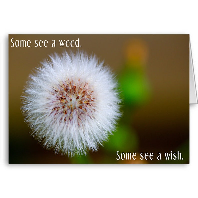 Some See a Weed Some Seed a Wish Uplifting Card Quote Card - Etsy