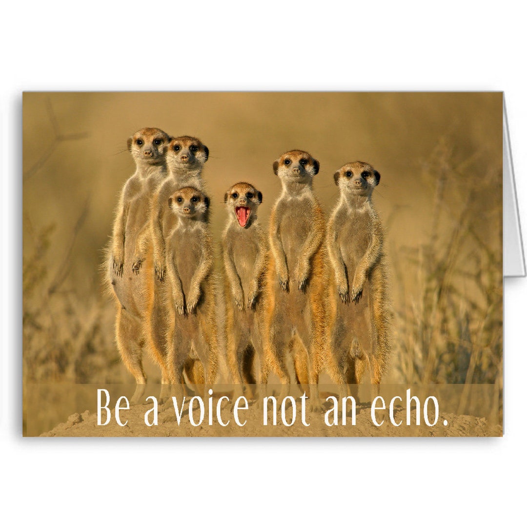 Encouragement Card, Inspirational Card,cute Animal Card,meerkats, for ...