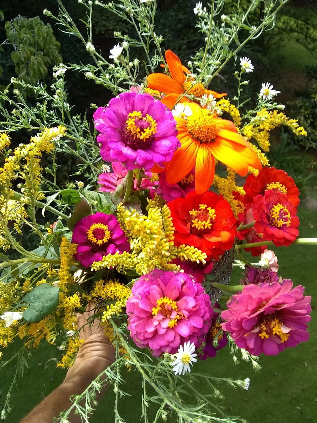 2022 Seeds Garden Pollinator Mix Flower Seeds Natural Seed - Etsy