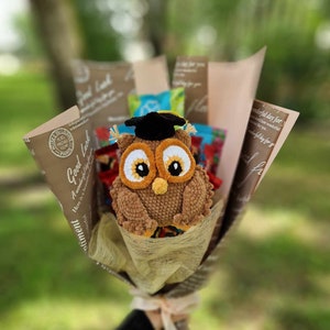 Crochet Graduation Plush Owl Amigurumi Pattern - Teacher Appreciation ...