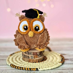 Crochet Graduation Plush Owl Amigurumi Pattern - Teacher Appreciation ...