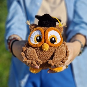 Crochet Graduation Plush Owl Amigurumi Pattern - Teacher Appreciation ...