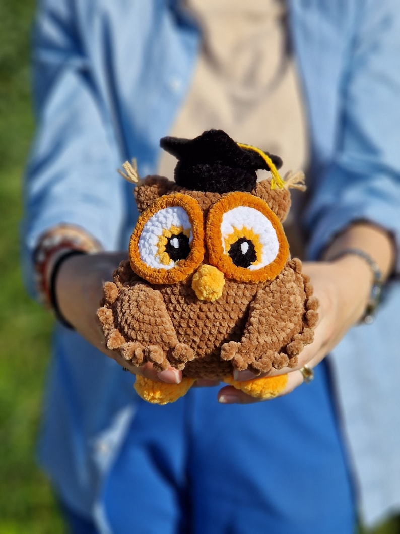 Crochet Graduation Plush Owl Amigurumi Pattern - Teacher Appreciation ...