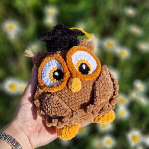 Crochet Graduation Plush Owl Amigurumi Pattern - Teacher Appreciation ...
