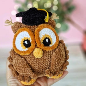 Crochet Graduation Plush Owl Amigurumi Pattern - Teacher Appreciation ...