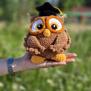 Crochet Graduation Plush Owl Amigurumi Pattern - Teacher Appreciation ...