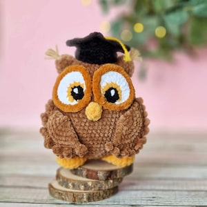 Crochet Graduation Plush Owl Amigurumi Pattern - Teacher Appreciation ...