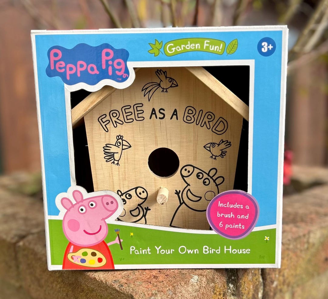 Peppa Pig Children's Paint Your Own Bird Box. Children's Nature Art ...