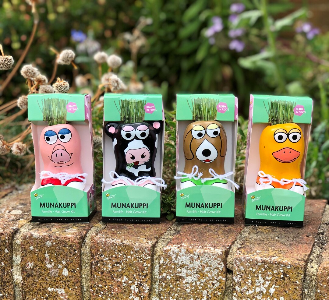 Farmyard Animal Grass Head Seed Growing Kit. Children's Grass Head Seed ...