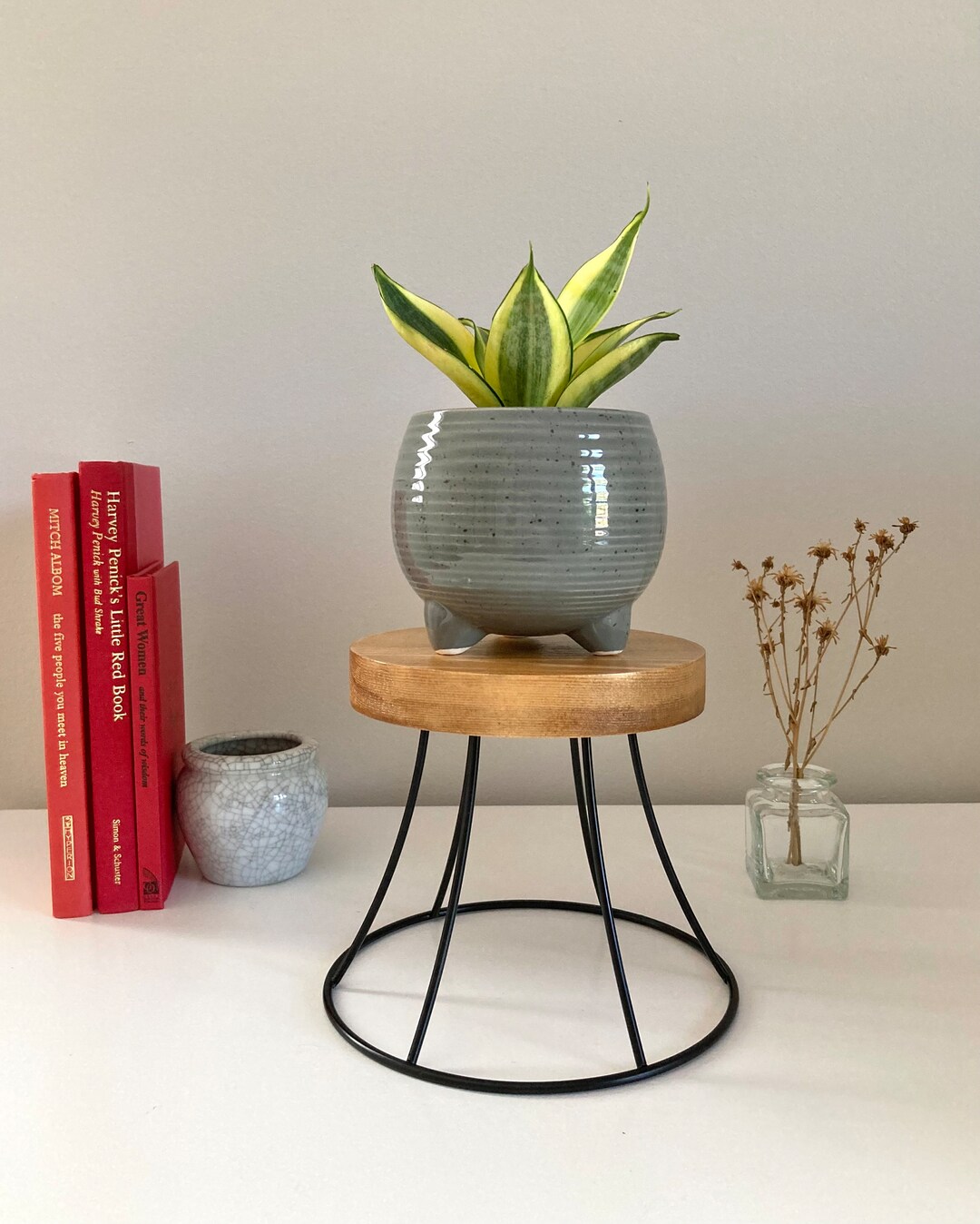 Plant Stand With Satin Black Metal Base and Solid Pine Wood Top, Table ...