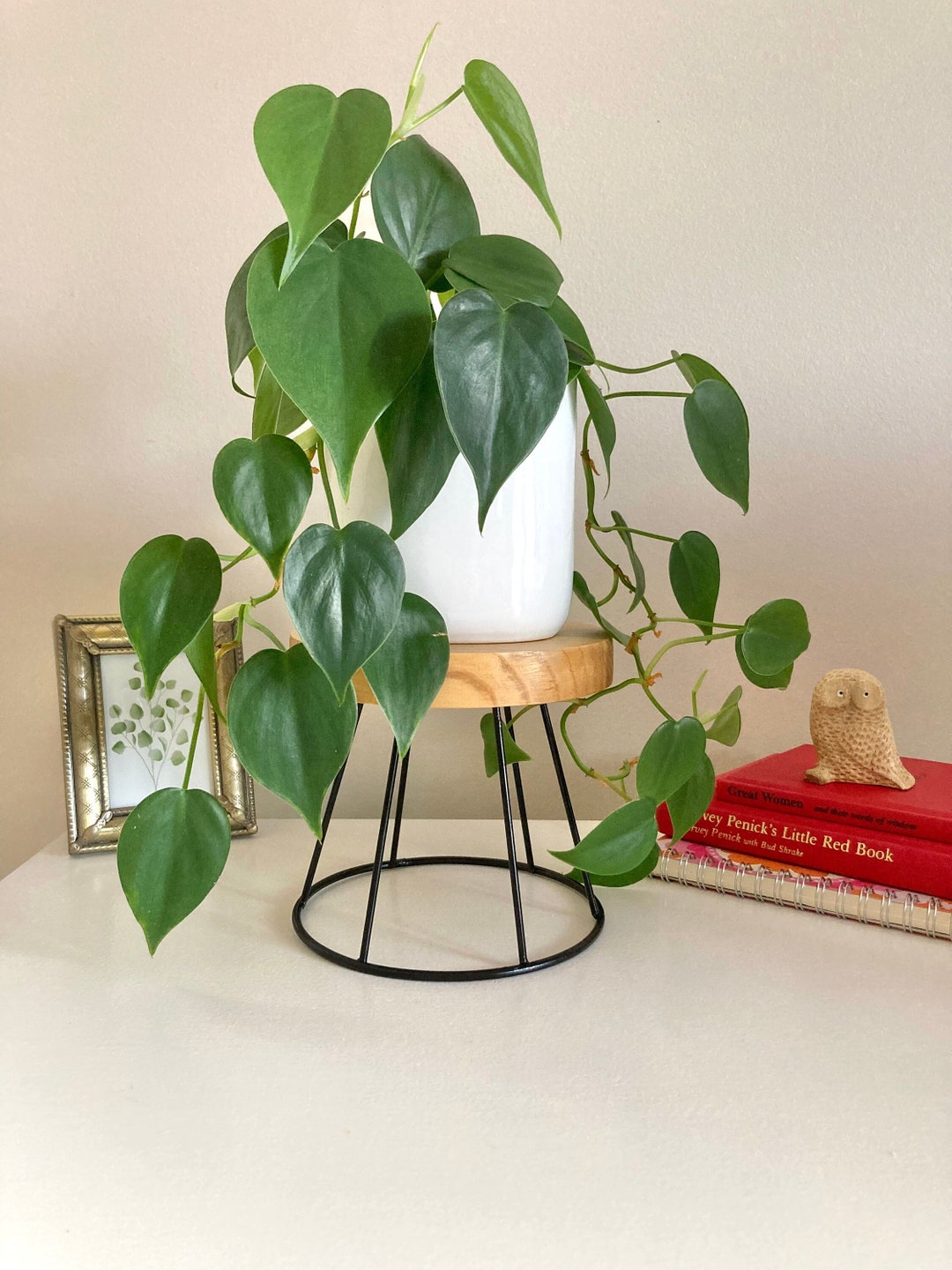 Plant Stand With Satin Black Metal Base and Solid Pine Wood Top, Table ...
