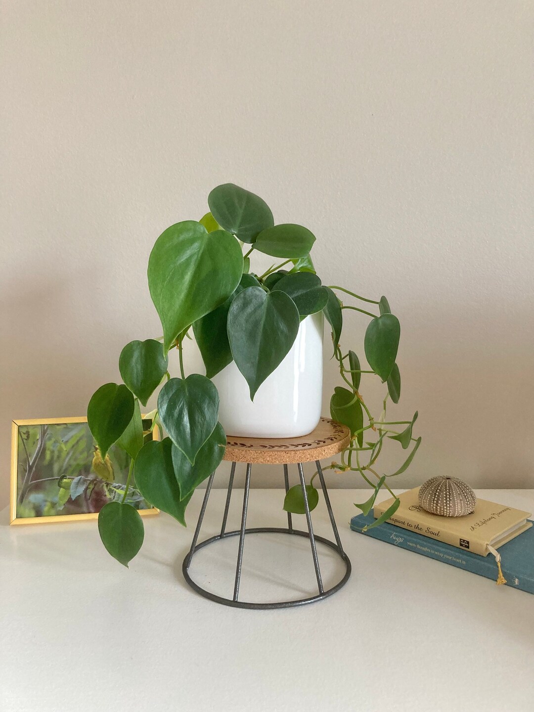 Laser Engraved Plant Stand With Metallic Dark Gray Metal Base and Solid ...