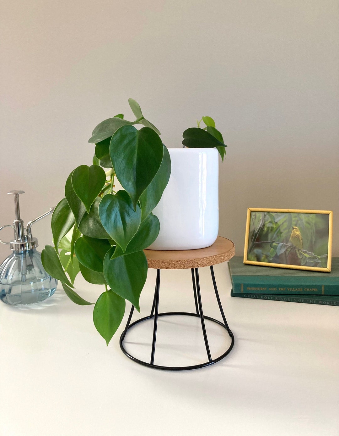 Plant Stand With Glossy Black Metal Base and Solid Pine Wood Top, Table ...