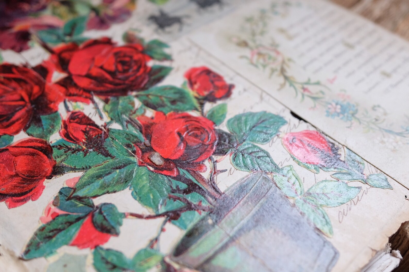Digital Download French Antique Scrapbook 1800s Art Nouveau Flower Rose ...