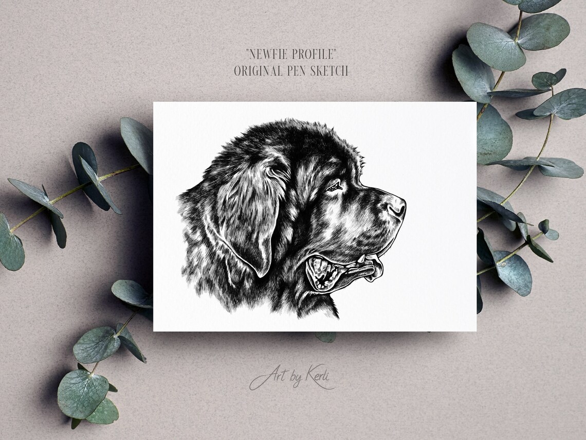 Newfoundland Dog Pen Sketch ORIGINAL - Art by Kerli - Etsy