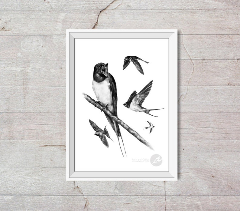 Barn Swallow Pencil Drawing ORIGINAL Art by Kerli | Etsy