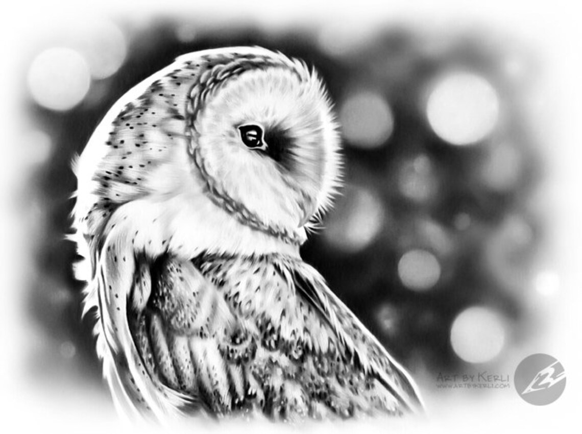 Barn Owl Pencil Drawing ORIGINAL Art by Kerli | Etsy