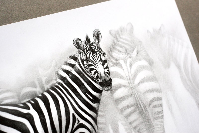 Zebra Pencil Drawing ORIGINAL - Art by Kerli - Etsy