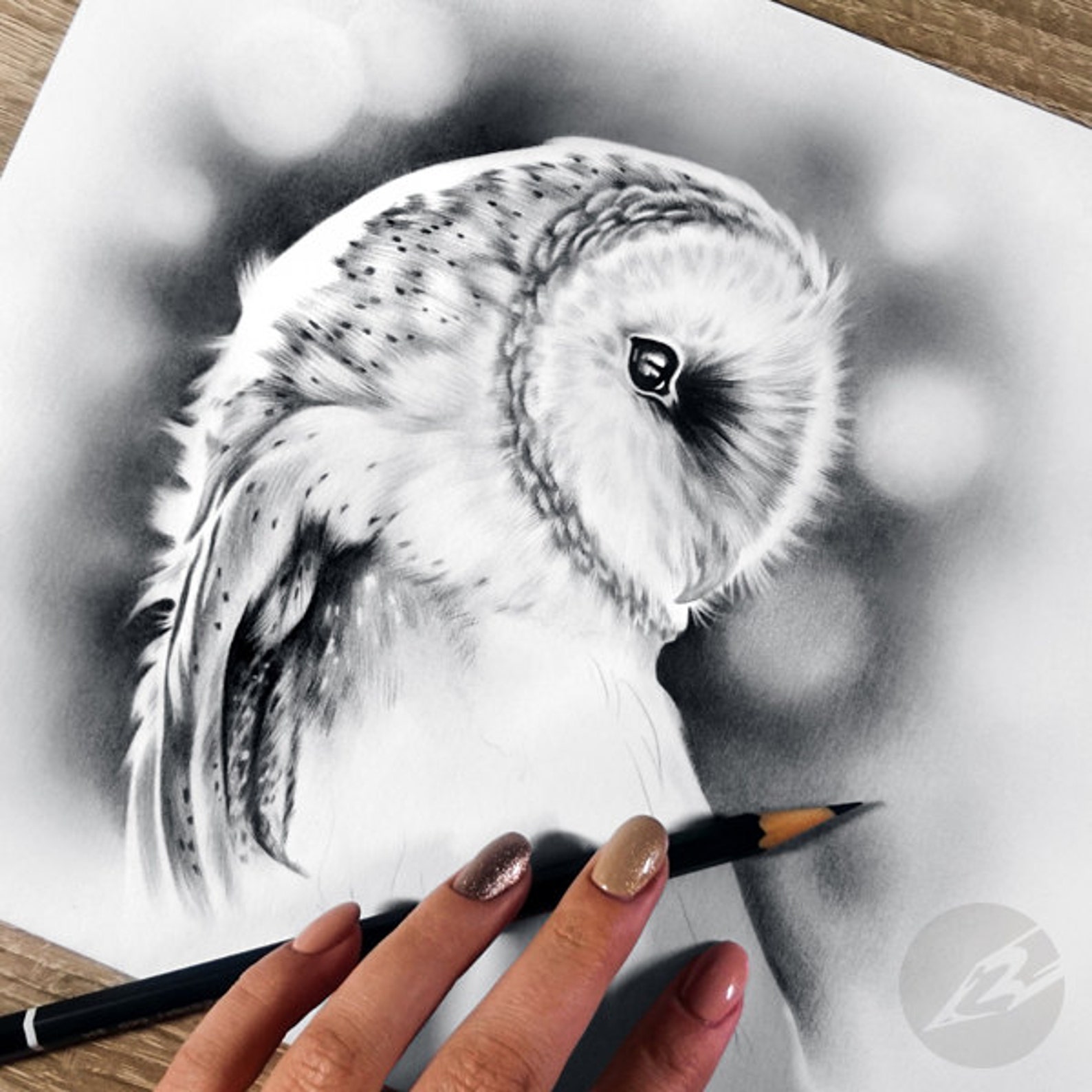Barn Owl Pencil Drawing ORIGINAL Art by Kerli | Etsy