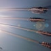 Set of Seven Primitive Arrows, Bow Hunting Arrows, Archery Arrows ...