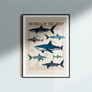 Sharks Facts Print, Educational Shark Species Wall Art, Marine Life ...