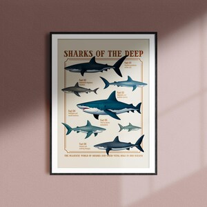 Sharks Facts Print, Educational Shark Species Wall Art, Marine Life ...