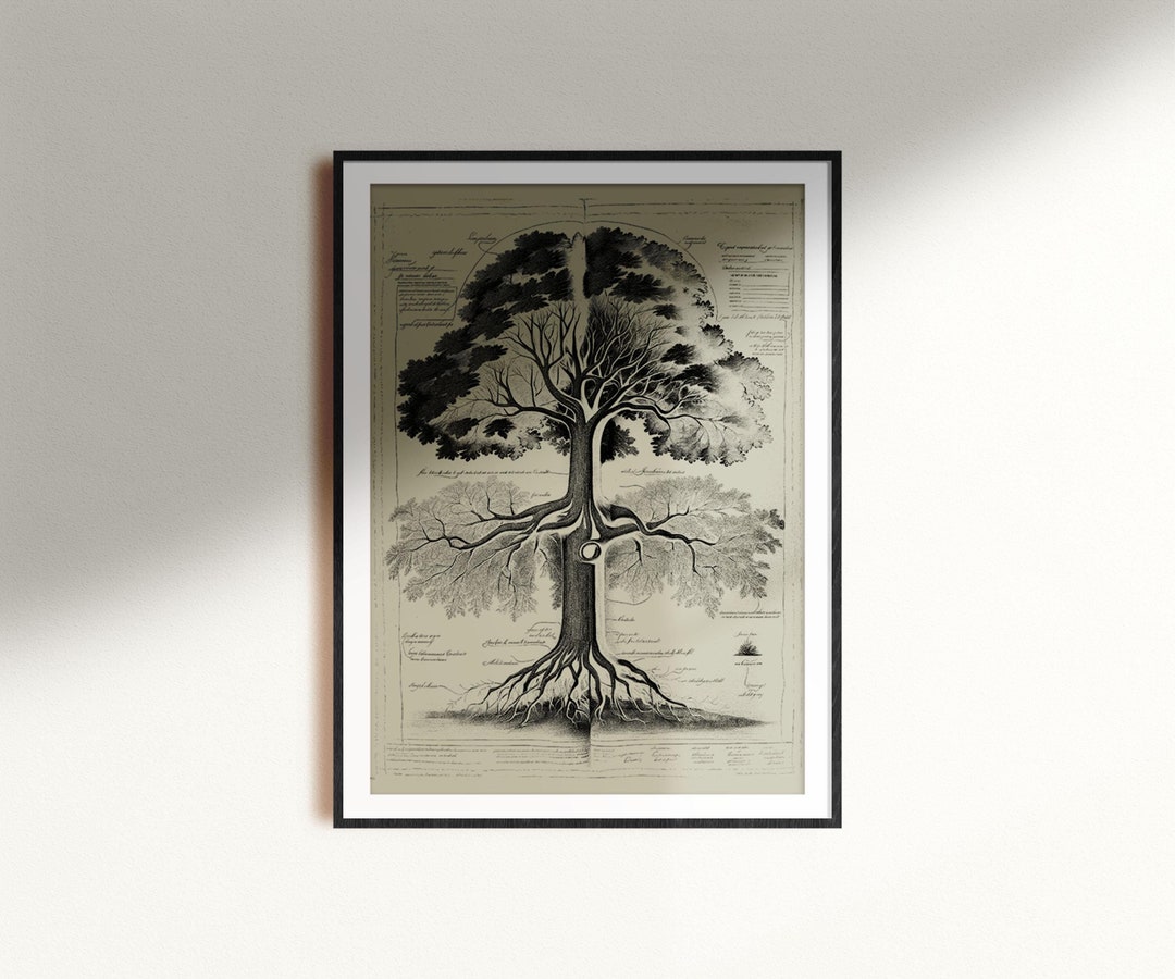 Tree Botanical Wall Art | Tree Identification Poster | Botanist Gift ...