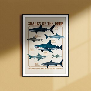 Sharks Facts Print, Educational Shark Species Wall Art, Marine Life ...