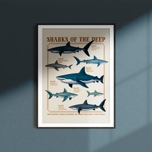 Sharks Facts Print, Educational Shark Species Wall Art, Marine Life ...