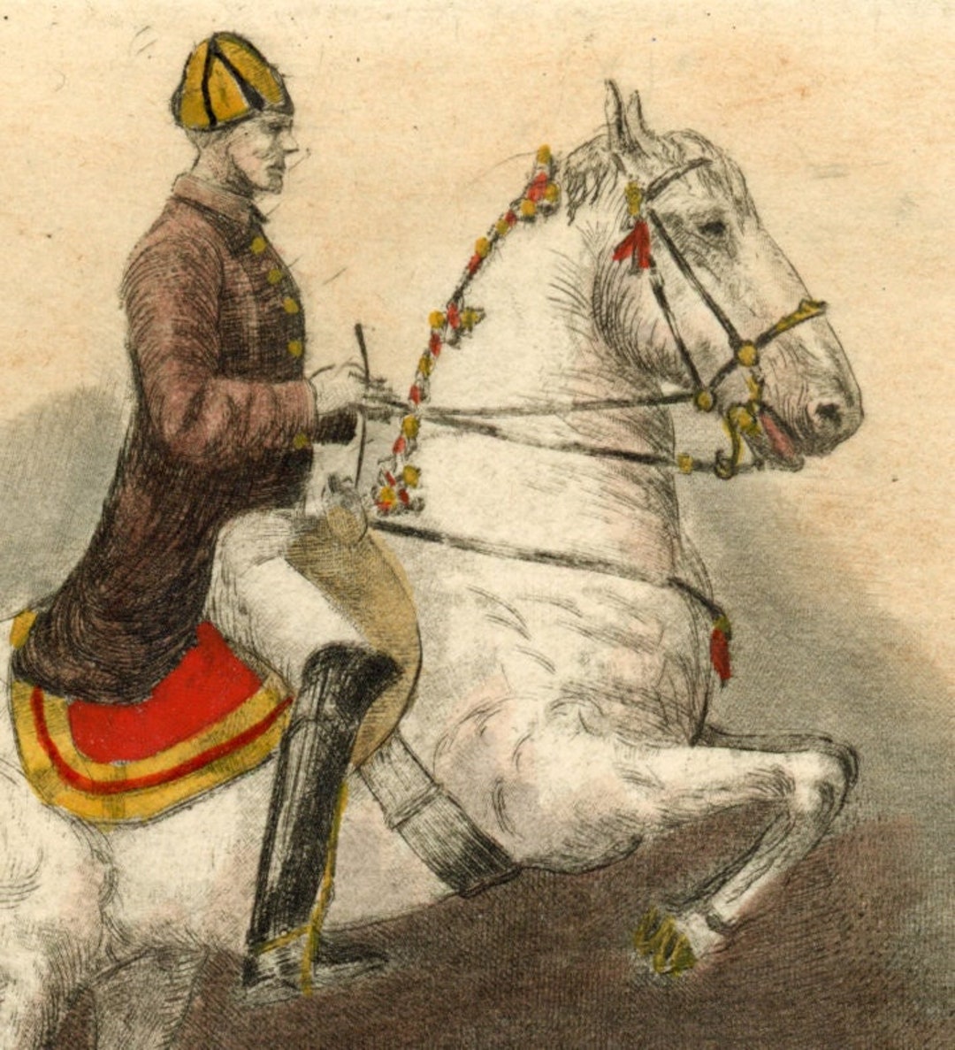 Antique Horse Etchings Hand-colored Signed Spanische Reitschule Wien ...