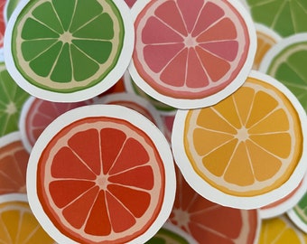 Citrus Stickers | Etsy