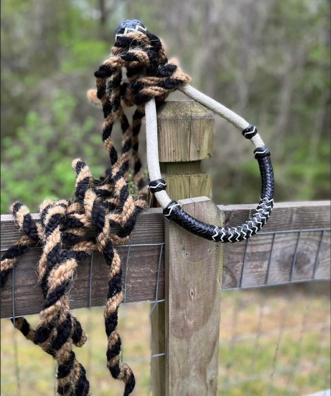 Genuine Hand Braided Rawhide Bosal and Black & Tan Horsehair Mecate ...