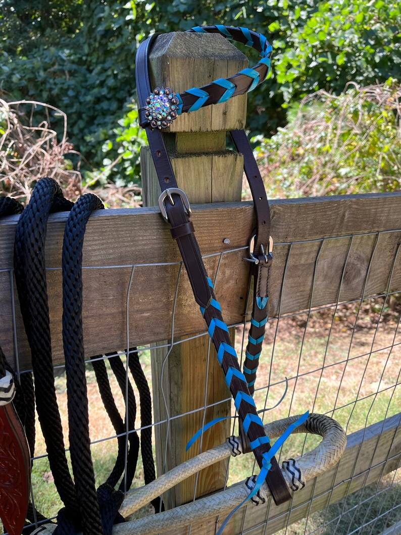 Teal Laced Horse Size Complete Bitless Hackamore Rawhide Bosal - Etsy