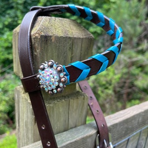 Teal Laced Horse Size Complete Bitless Hackamore Rawhide Bosal - Etsy