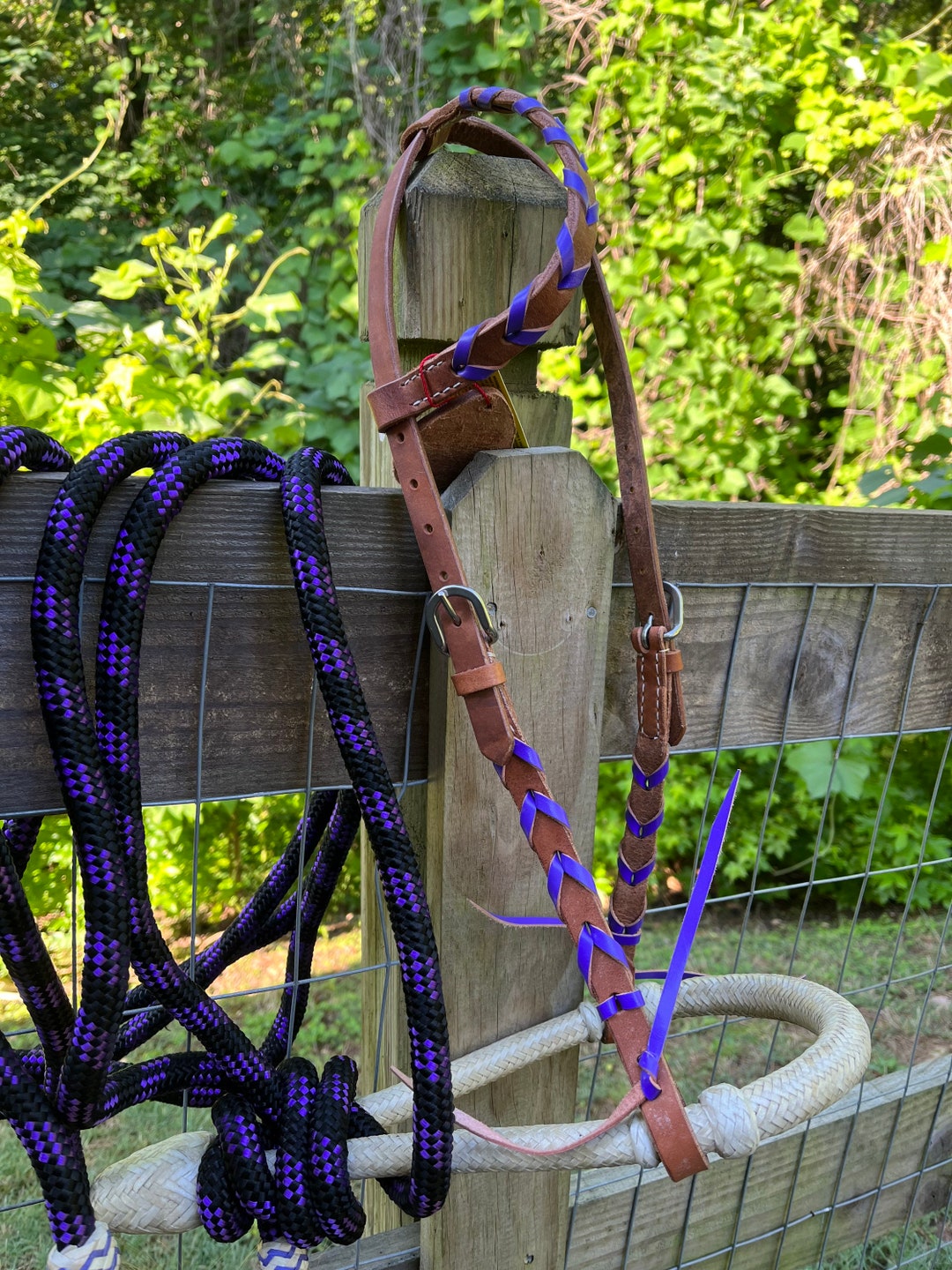 Complete Purple Bitless Bosal Horse Size Set Rawhide Bosal Nylon Mecate ...