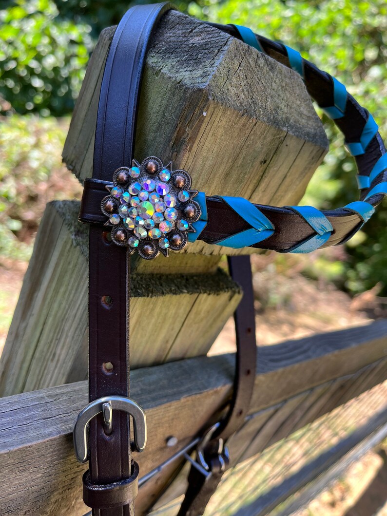 Teal Laced Horse Size Complete Bitless Hackamore Rawhide Bosal - Etsy