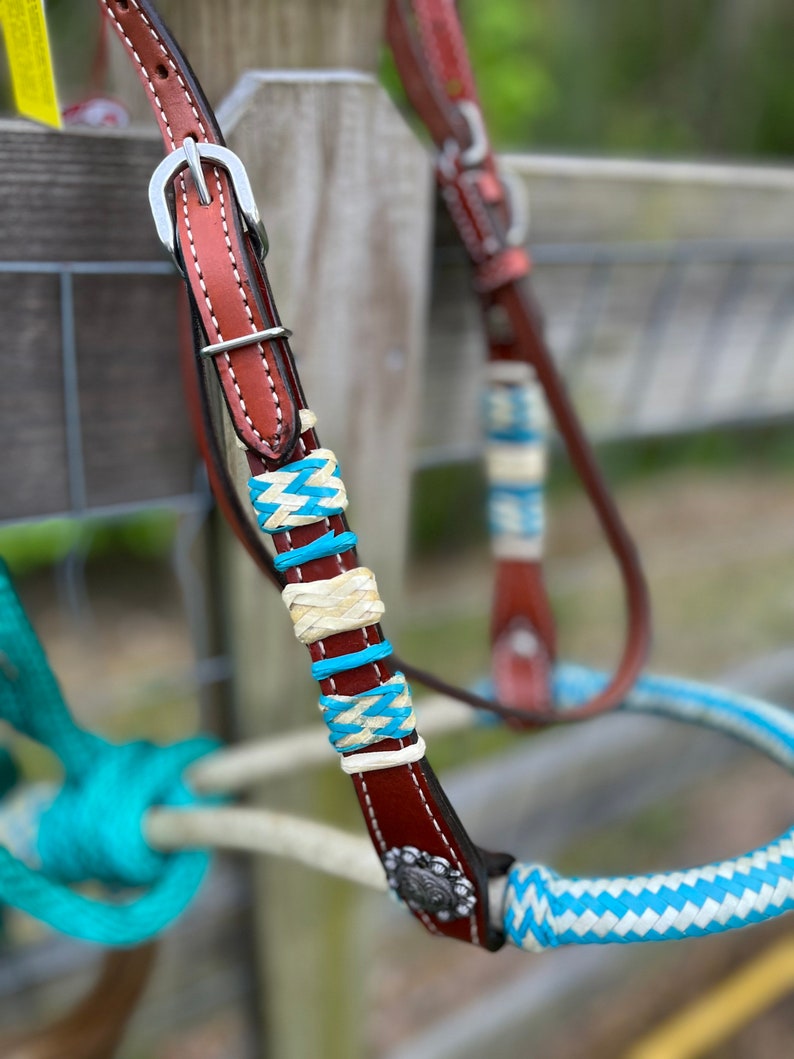Complete Teal Bosal Bitless Bridle Set Rawhide Bosal and Teal Mecate ...