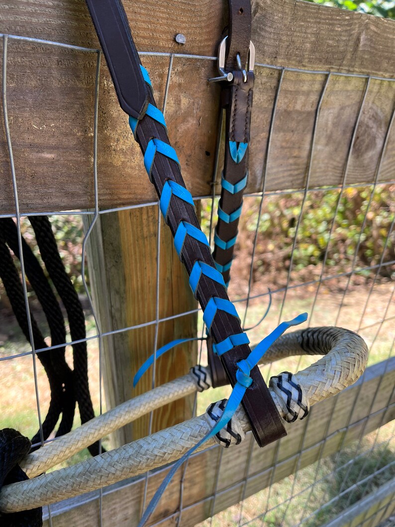 Teal Laced Horse Size Complete Bitless Hackamore Rawhide Bosal - Etsy