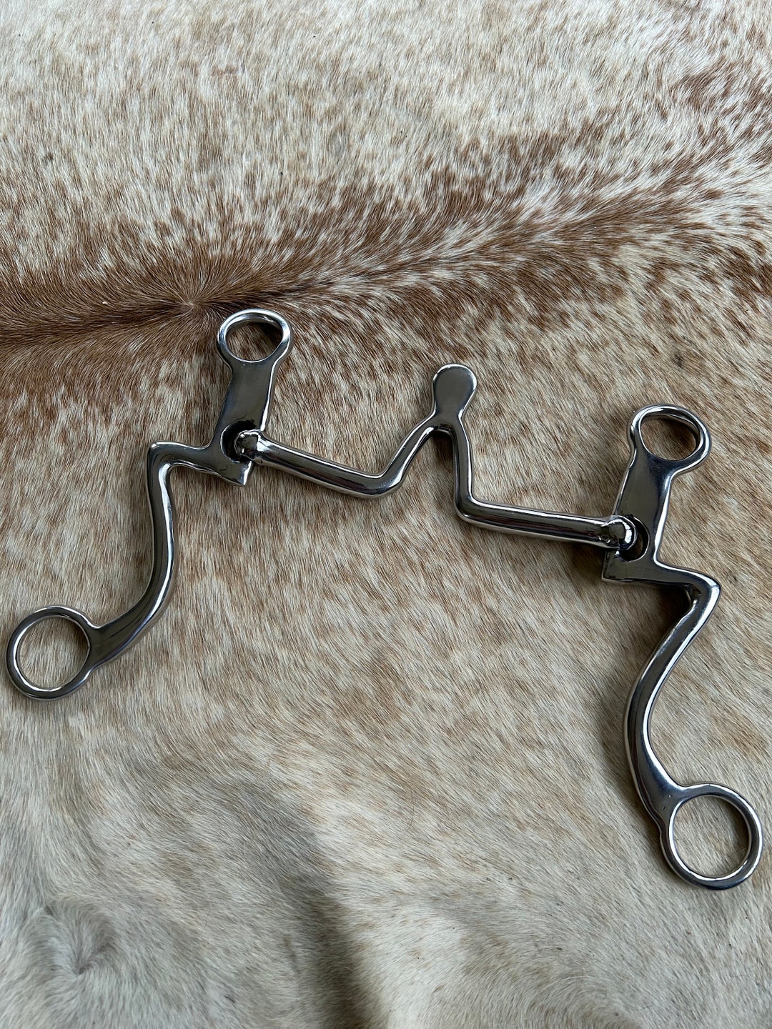 Western Stainless Steel Cathedral Correction Port Bit 5 Mouth Free Ship ...