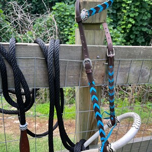 Teal Laced Horse Size Complete Bitless Hackamore Rawhide Bosal - Etsy
