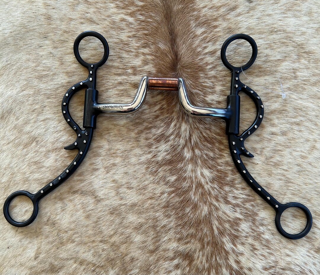 Stylish Medium Shank 5” Mouth Hinge Ported Copper Roller Horse Bit FREE ...