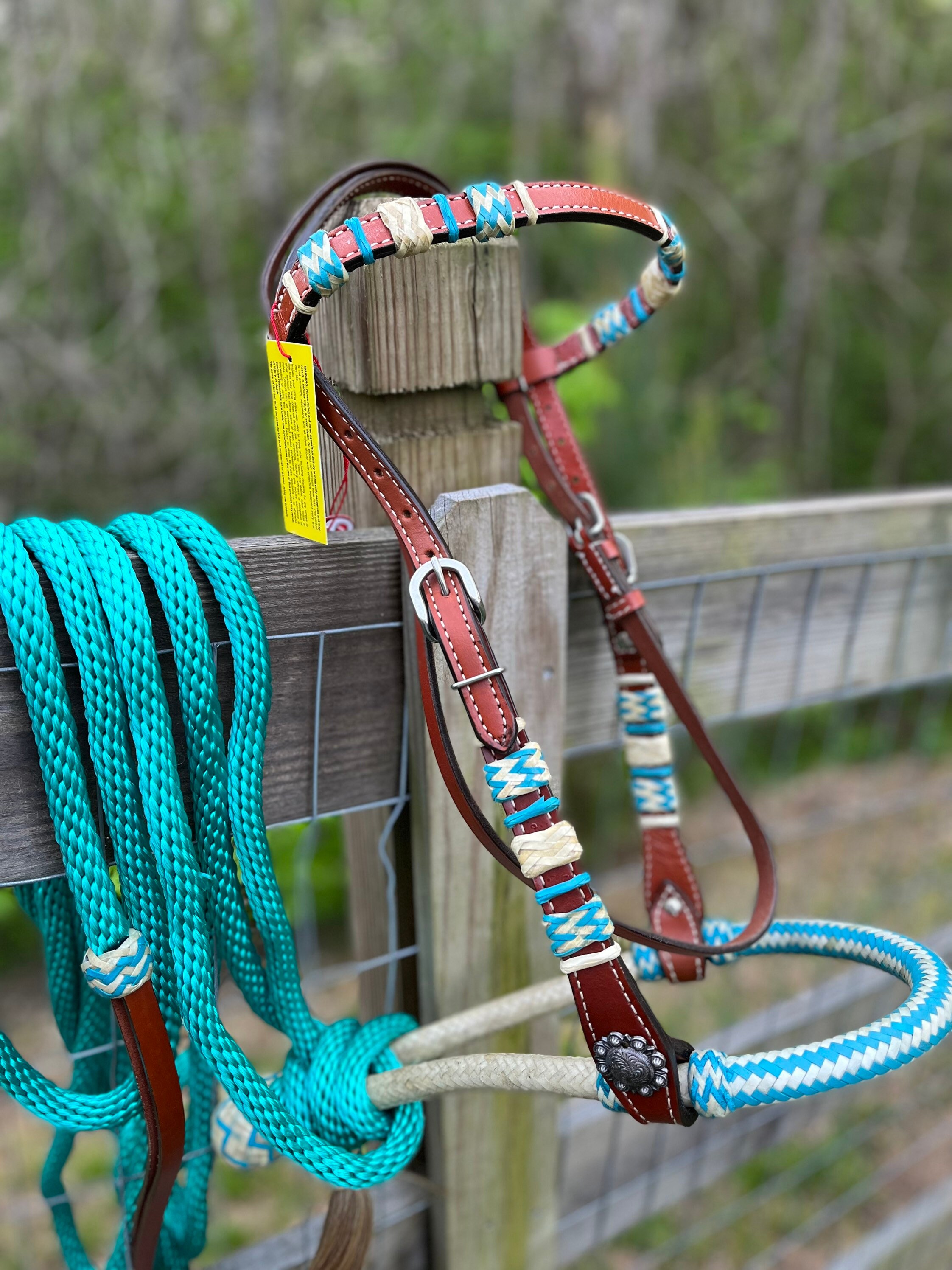 Complete Teal Bosal Bitless Bridle Set Rawhide Bosal and Teal Mecate ...