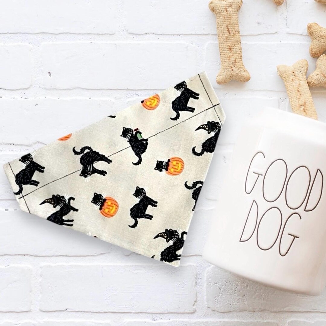 Black Cat Bandana for Cute Halloween Dog Bandana or Cat Halloween Pet ...